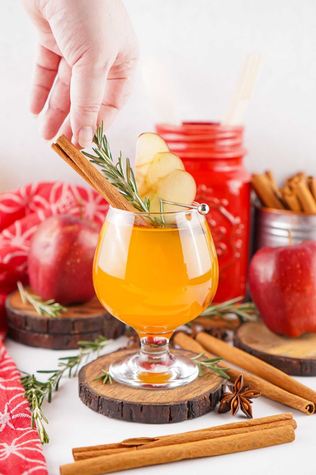 Fireball Whiskey Apple Cider Holiday Cocktail - Serve Both Hot and Cold ...